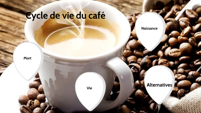 Cycle de vie du café by Cora Doyon on Prezi