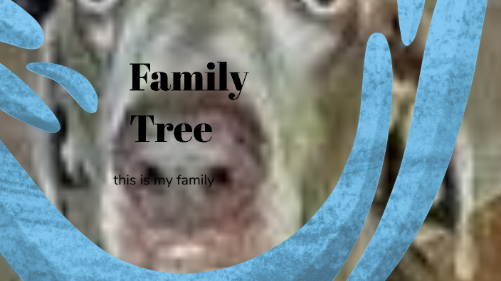 family tree by landon bauman on Prezi