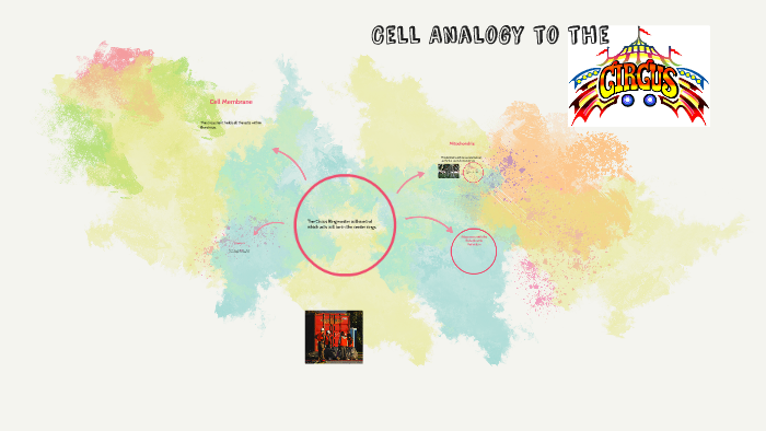 Cell Analogy to the Circus by Lu Ann Link