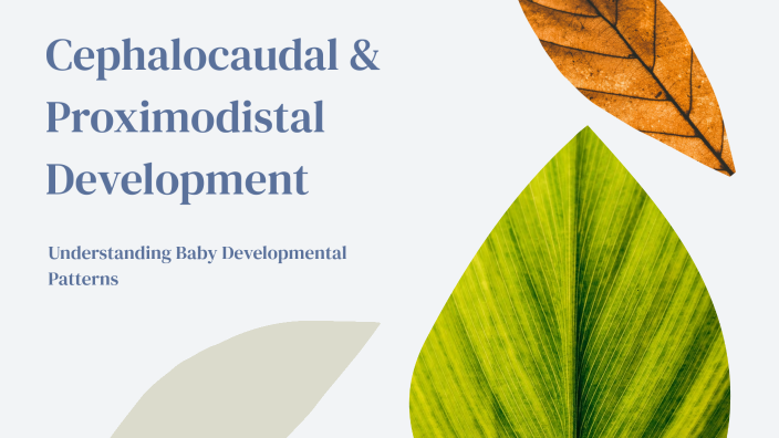 Cephalocaudal & Proximodistal Development by Adian Thomas _ Student ...