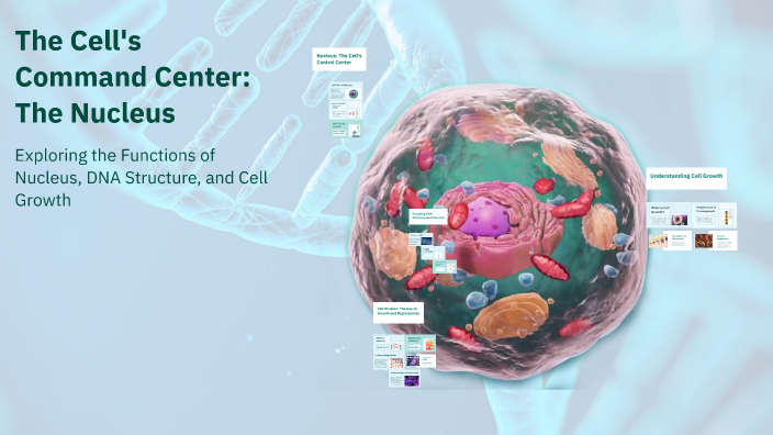 The Cell's Command Center: The Nucleus by bryce wiggins on Prezi