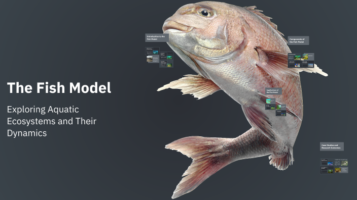 The Fish Model by Minor Classic on Prezi