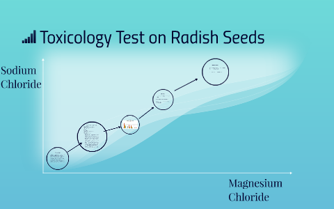 Toxicology Test on Radish Seeds by Ashley Gambrill on Prezi