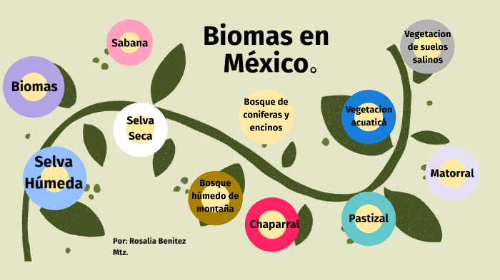 Biomas en México by Eldrick Valencia on Prezi