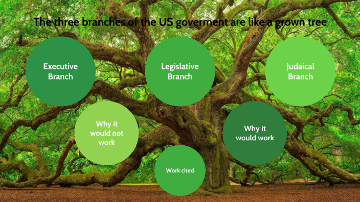 The Three Branches Metaphor by Olivia Strunk on Prezi