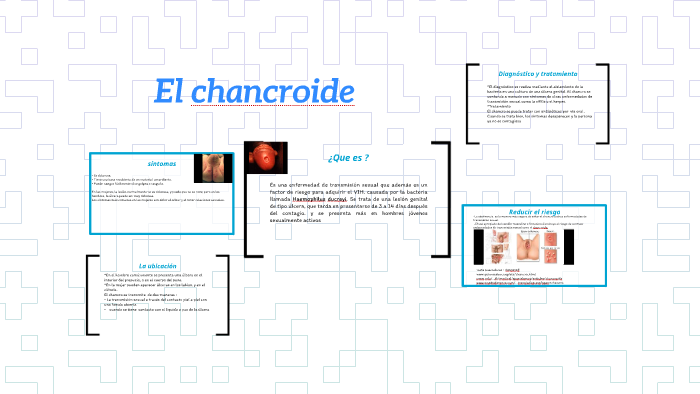 El chancroide by yadira toapanta moreno on Prezi