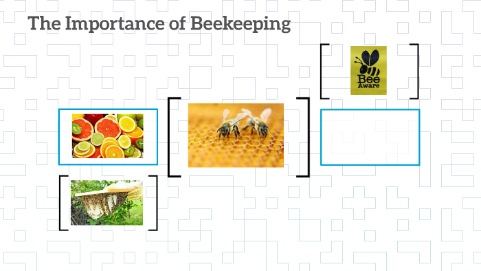 The Importance of Beekeeping by