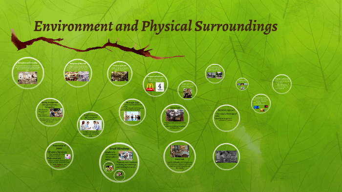 Environment and Physical Surroundings by Cheyenne Cannon on Prezi