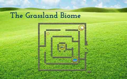 The Grassland Biome: Human Interaction by Thomas Zombek on Prezi