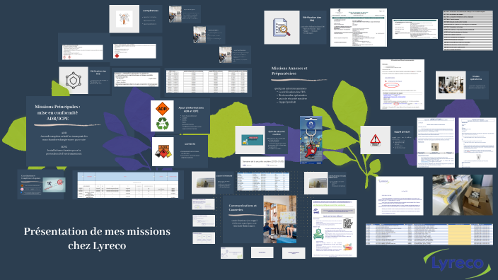 Présentation de mes missions de stage chez Lyreco by arthur devries$ on ...