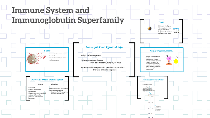 Immune System and Immunoglobulin Super Family by Bryan Dunlop