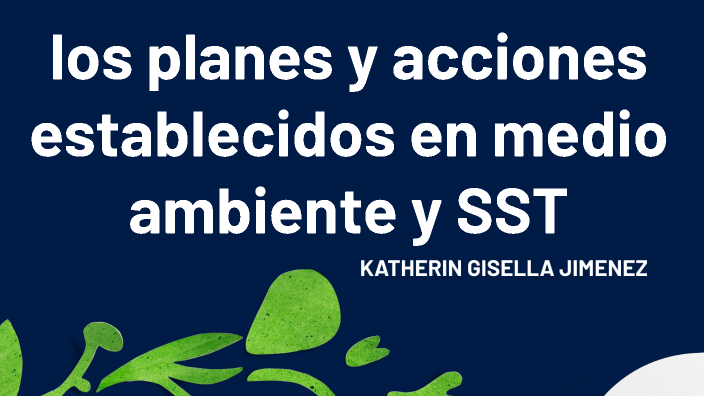 planes y acciones establecidos en medio ambiente y SST by KATHERIN ...