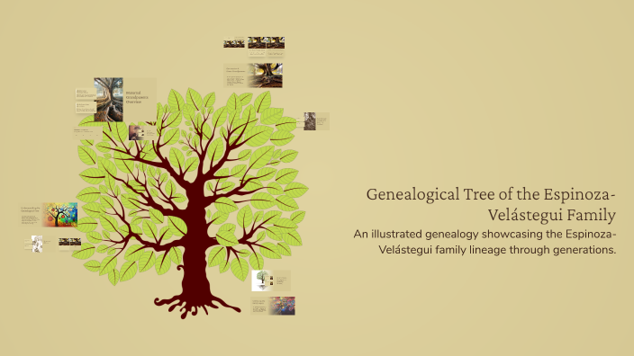 Genealogical Tree of the Espinoza-Velástegui Family by Student Juliana ...