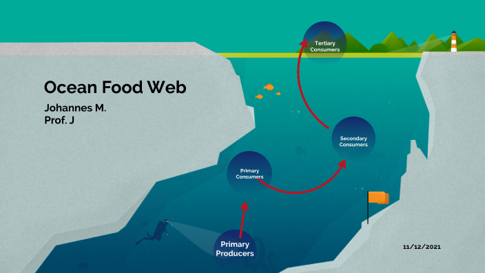 Oceanography Food Chain by xYoYo on Prezi
