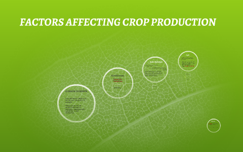 FACTORS AFFECTING CROP PRODUCTION by Uldarico Morales on Prezi