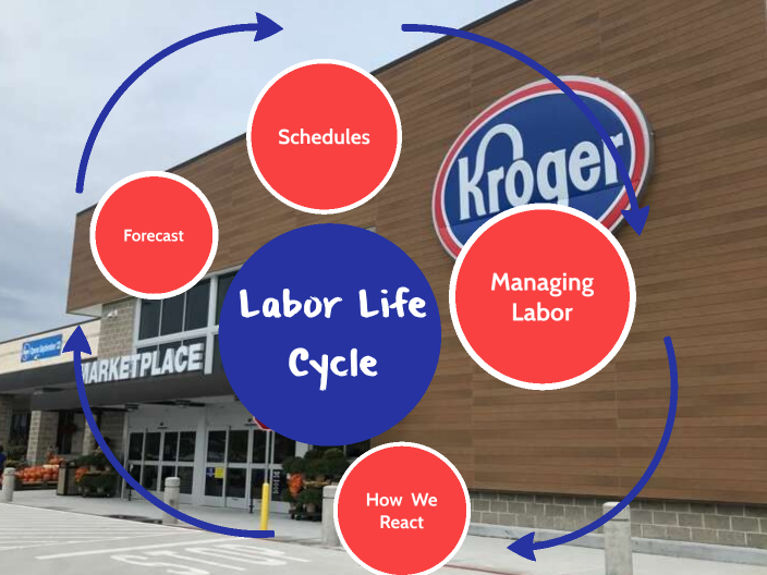 Labor Life Cycle by Alexis Thomason on Prezi