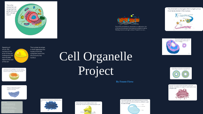 Cell Organelle Project by Fenote Firew _ Student - WakefieldHS on Prezi