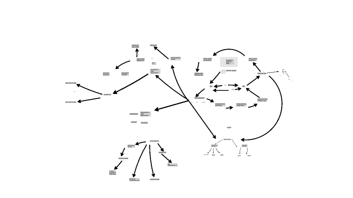 Unit 6 Bio Map by Aiden Burke on Prezi