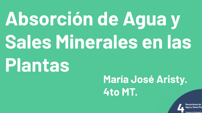 Absorción de Agua y Sales Minerales en las Plantas by María José Aristy on Prezi