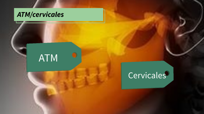 ATM/cervicales by Enora Bourget on Prezi
