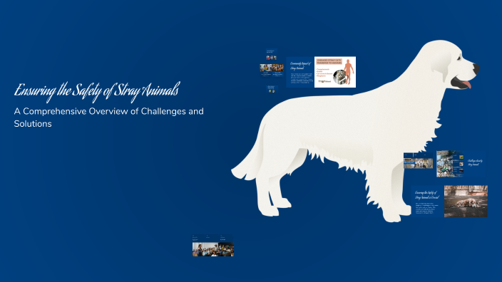 Ensuring the Safety of Stray Animals by tejas raj on Prezi