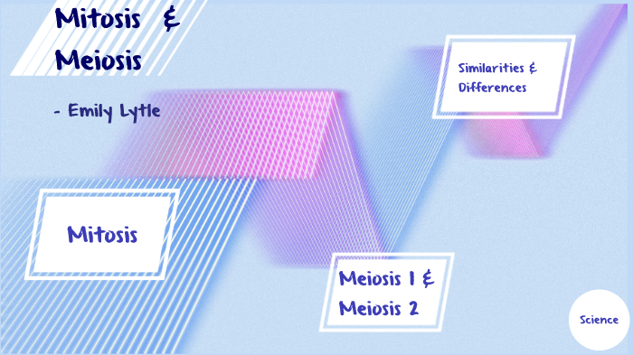 Mitosis & Meiosis-Emily Lytle by Emily Lytle on Prezi