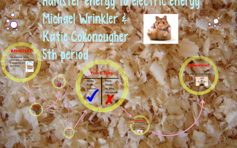Hamster energy to electric energy by Katie Cokonougher on Prezi