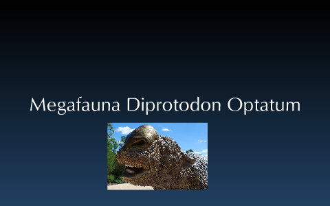 Megafauna : Diprotodon Optatum by Josi Smith on Prezi