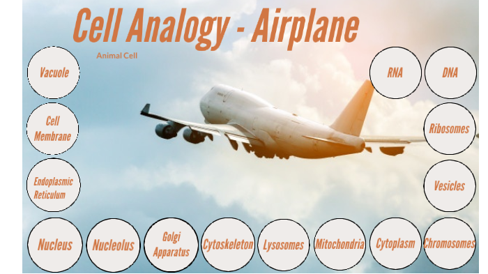 Cell Analogy- Airplane by Jaime Capozzi on Prezi