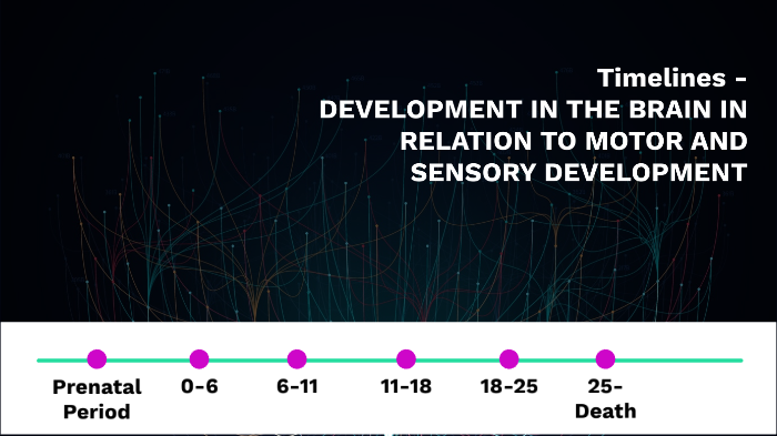 Timeline of the Brain by Dylan Rodgers on Prezi