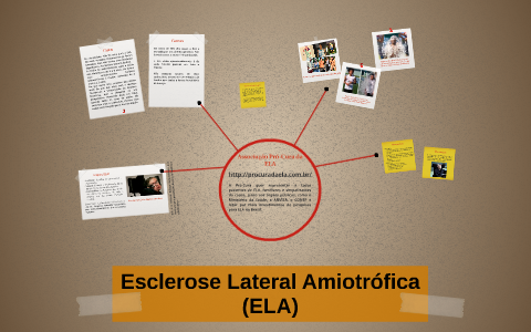 Esclerose Lateral Amiotrófica (ELA) by Melyssa Nobre