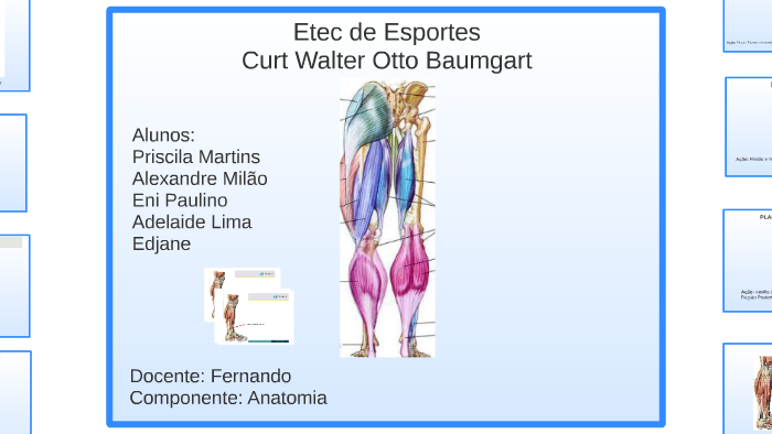 Músculos da perna e coxa by Priscila Martins on Prezi