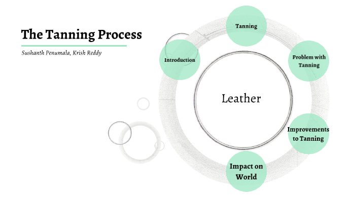 Life Cycle of Synthetic Materials - Leather by Krish Reddy on Prezi