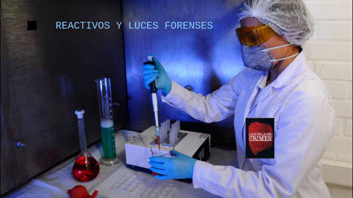 REACTIVOS Y LUCES FORENSES by EDGARDO DELGADO on Prezi