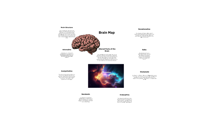 Brain Map by Daksh Garg on Prezi