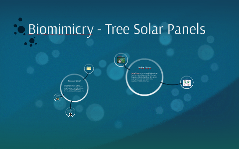 Biomimicry - Tree Solar Panels by Jeffrey Kepler on Prezi