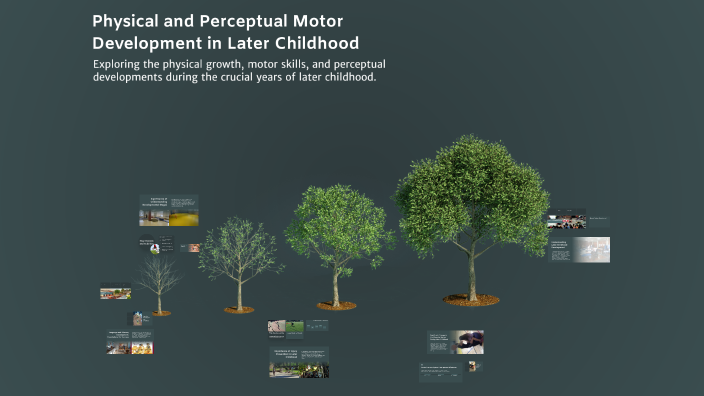 Physical and Perceptual Motor Development in Later Childhood by Khanya ...