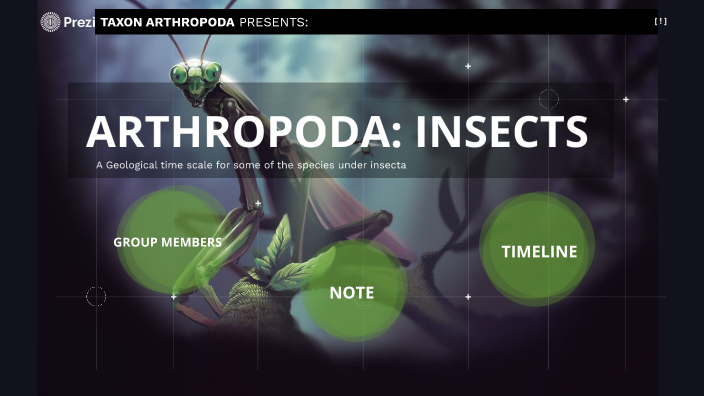 Arthropods: Insects by Robert San Pedro on Prezi