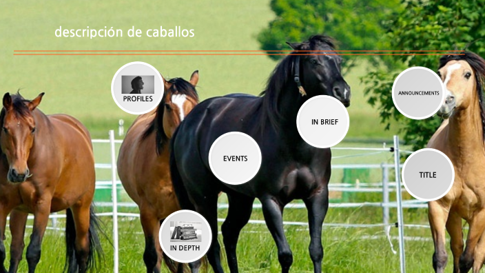 descripción de un caballo by ismael corroto on Prezi
