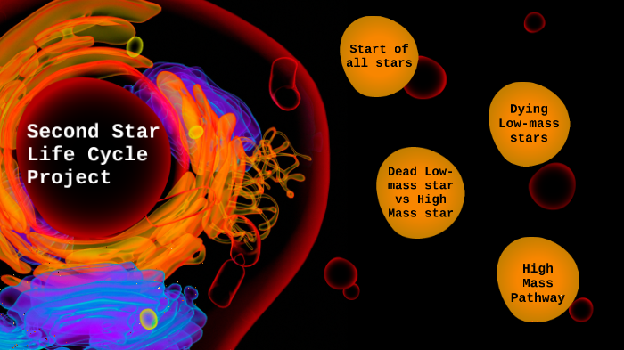 Second Star Life Cycle Project by Pari M. on Prezi