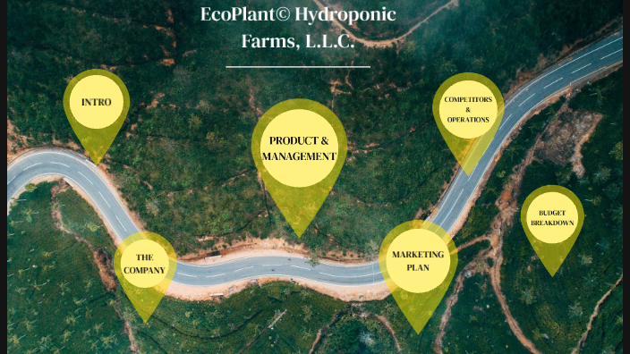 HYDROPONIC FARMING BUSINESS PLAN by Aisha Al Muhaisen on Prezi
