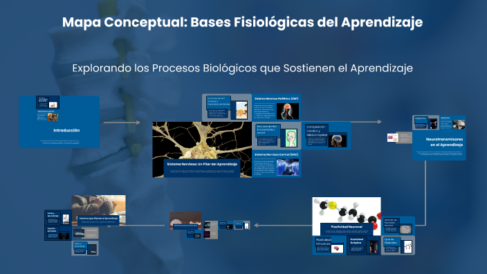 Mapa Conceptual: Bases Fisiológicas del Aprendizaje by Pablo Hafidd Fragoso Nava on Prezi