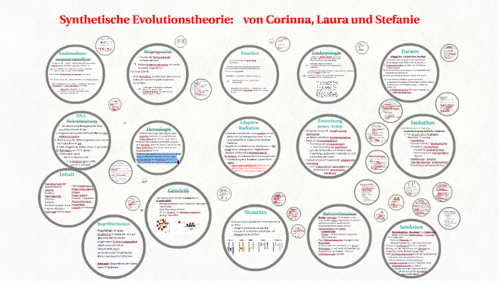 Synthetische Evolutionstheorie: von Corinna, Laura und St by laura vdk ...