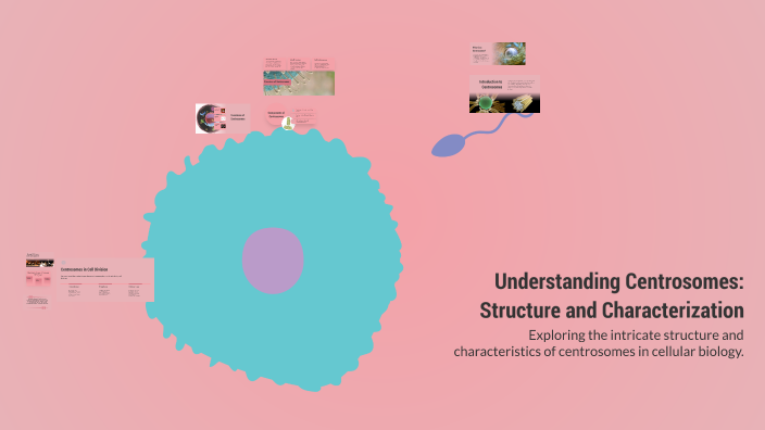 Understanding Centrosomes: Structure and Characterization by Ellen ...