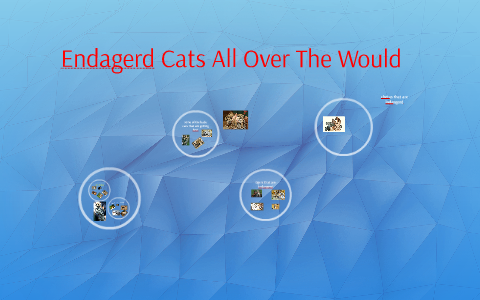 Endagerd Cats All Over The Would by Robert Ockerse on Prezi