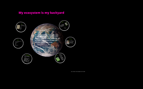 My ecosystem is my backyard by grace mcveigh on Prezi