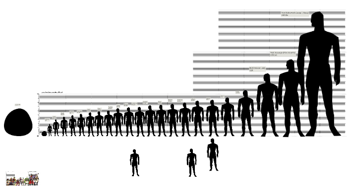 Phantasmagia Height Reference by Rab G on Prezi