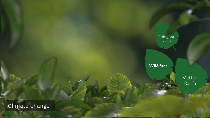 climate change by Susannah Gordon on Prezi