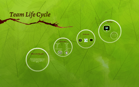 Team Life Cycle by Intisar Khan on Prezi