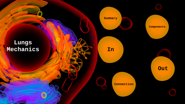 Lung Mechanics Presentation by Owen Voigt on Prezi